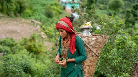 Neighboursinitiativealliance Waterjusticefund Locallyledadaptation