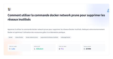 Comment Utiliser La Commande Docker Network Prune Pour Supprimer Les Réseaux Inutilisés Labex