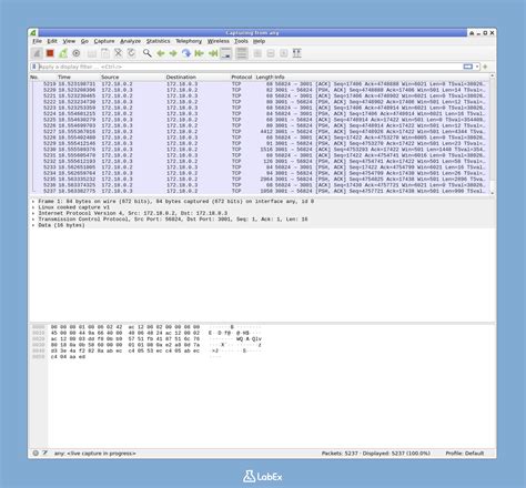 Wireshark 를 이용한 IPv 트래픽 분석 방법 IPv 패킷 분석 가이드 LabEx