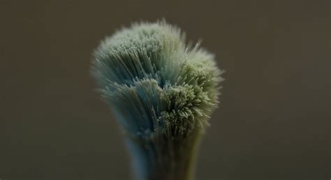 Waste Accumulation → Term