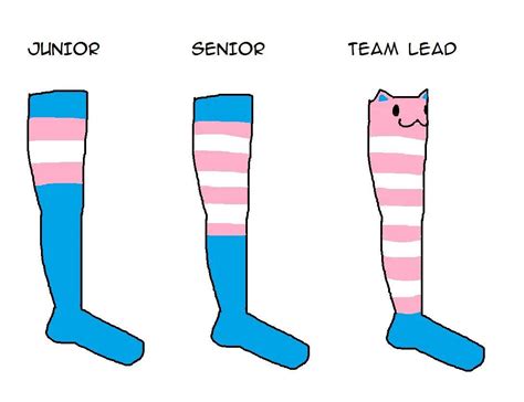Programmingsocks Rprogrammerhumor