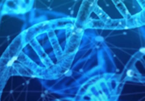 Stanford Data Science Program In Data Science