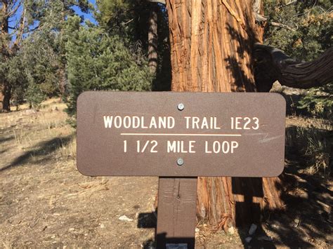 Woodland Trail Big Bear Lake