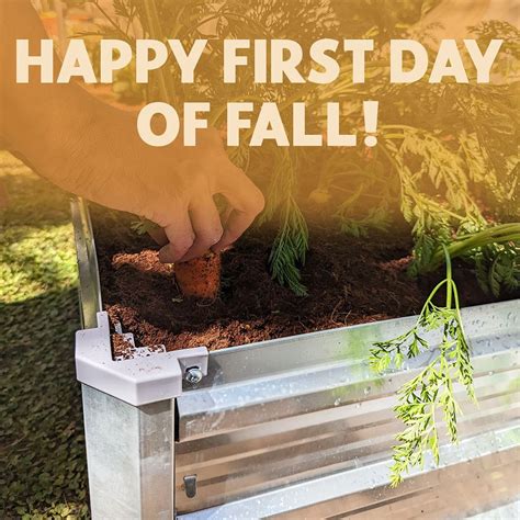 Plant And Plot Plant And Plot