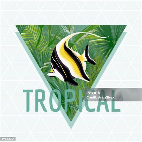 열 대 물고기 배경 벡터 T셔츠 패션 이국적인 그래픽에에서 여름 디자인 합니다 T 셔츠에 대한 스톡 벡터 아트 및 기타 이미지 T 셔츠 개화기 고풍스런 Istock