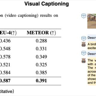 Quantitative And Qualitative Result On VQA Task Download Scientific Diagram