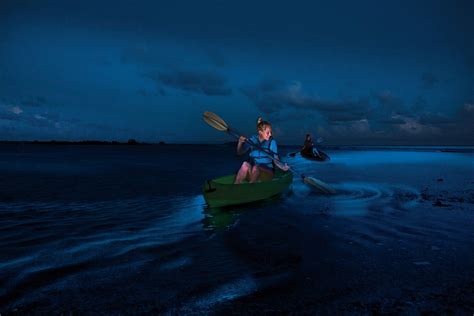 Fajardo Bioluminescent Bay Kayaking • Puerto Rico Taxi And Tours