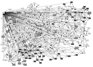 Traditional Call Graph Download Scientific Diagram