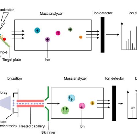 Protein Microarray Technology A Tissue Microarray Multiple Tissue