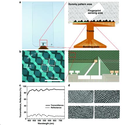 Characterization Of The Proposed Fingerprint Sensor A Left Download Scientific Diagram