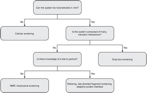 Considerations For Choosing The Best Approach For Proteinprotein Download Scientific Diagram
