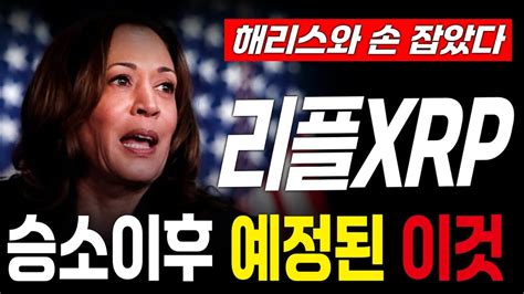 리플 전망 리플 해리스와 손 잡았다 승소이후 예정된 이것 리플 Sec 리플소송 리플합의 리플코인 Xrp 코인긴급속보 밈코인 Youtube