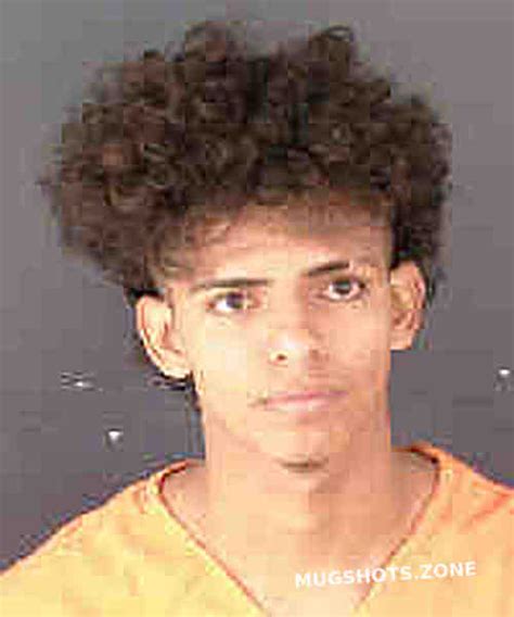 Macklin Rayle Javier Rayle Javier Gregorio 11152023 Sarasota County Mugshots Zone