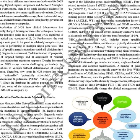 The Most Frequent Gene Mutations And Cellular Pathways In Acute Myeloid