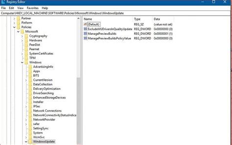 Enable Or Disable Insider Build Settings In Windows Tutorials