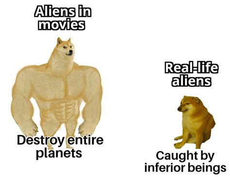 I Also Expected A Massive Extinction 👀 Rmemes