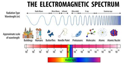 Science Electromagnetic Spectrum Diagram Free Vector