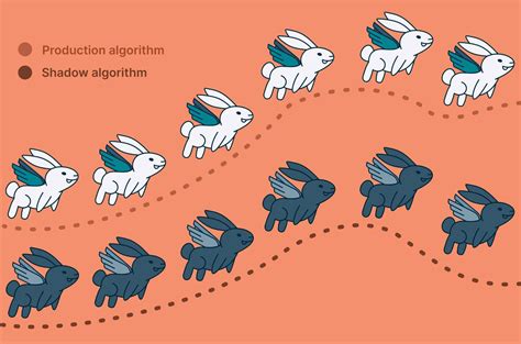 what is shadow testing for optimization models and decision algorithms