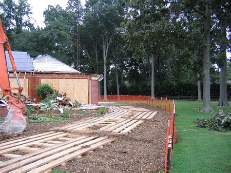 Why Trees Fall Tree Advice Tree Topics