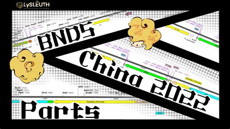 Parts BNDS China IGEM 2022 Parts BNDS China IGEM 2022