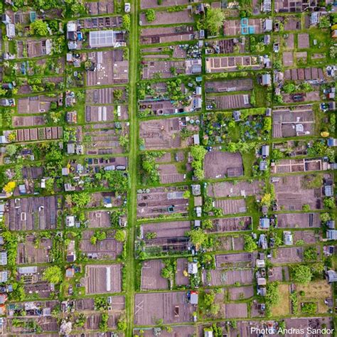 Daniela Rizzi On Linkedin Naturebasedsolutions Biodiversity