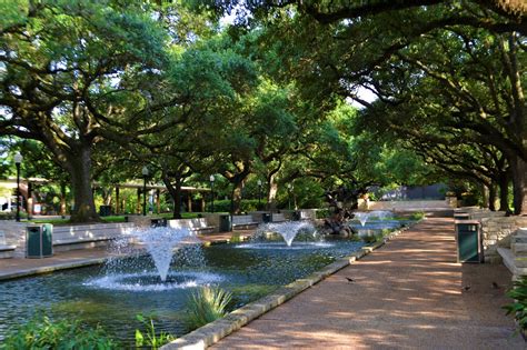 Passarela Arvores Folhagem Foto Gratuita No Pixabay Pixabay