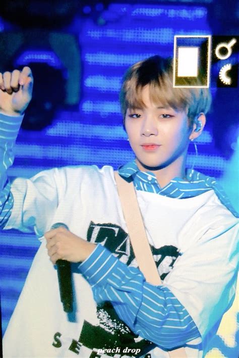 아 강다니엘 캥거루 취향마저 확고하네 인스티즈instiz 연예 카테고리