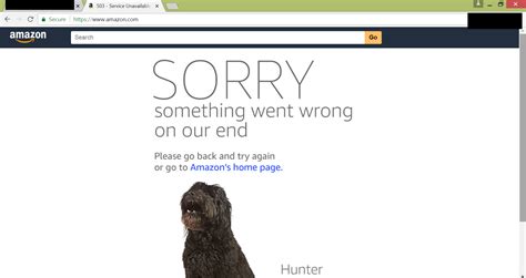Why Is The Amazon Site Not Working At Indiana Seery Blog