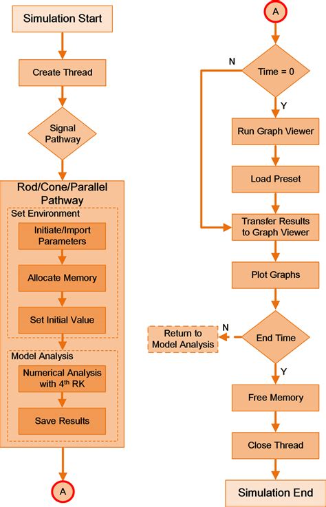 simulation flow chart of the retina simulator left simulation start