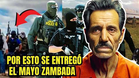 Así Fue Traicionado El Mayo Zambada Por El Cártel De Sinaloa La Caída