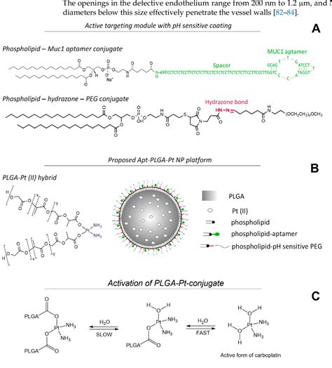 Figure 1 From Pt Ii Plga Hybrid In A Ph Responsive Nanoparticle System Targeting Ovarian Cancer