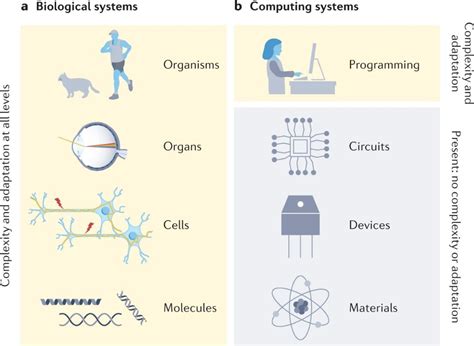 Hardware Implementations Of Artificial Neural Networks Anns—the Most Alfa Chemistry