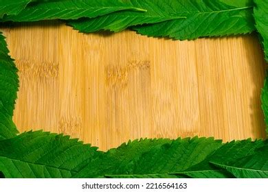 Stack Leaf Frame Wooden Background Stock Photo 2216564163 Shutterstock