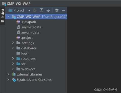 Idea中导入eclipse项目后没显示src文件idea打开java项目后不显示src等 Csdn博客