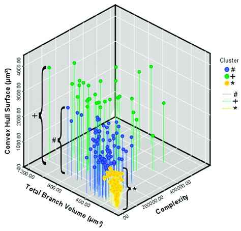 3d representation of the mean values of morphometric variables that