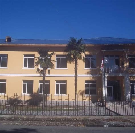 ლიის საჯარო სკოლის თვითმართვდლობა