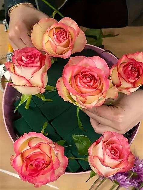 20pcs10pcs8pcs1pc2pcs4pcs6pcs 315nch315nch157inch Wet And