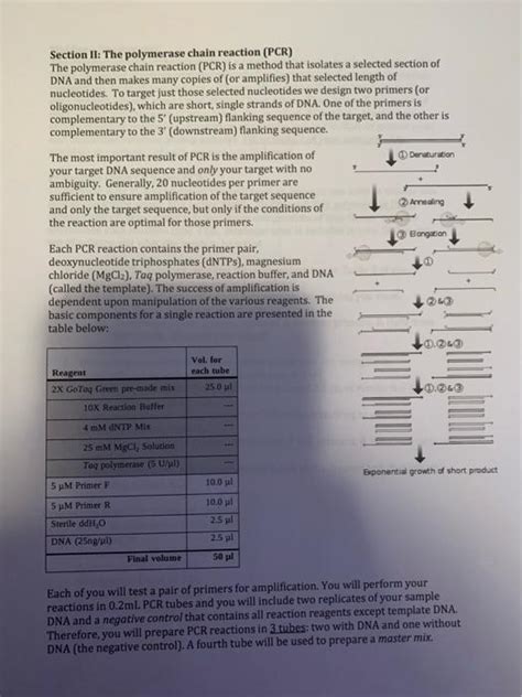 Solved LEARNING OBJECTIVES Conceptualize The Physical Chegg