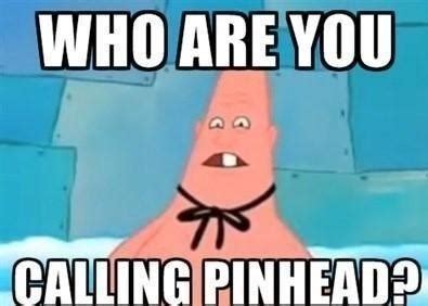 On Pinterest We Are All Pinheads Spongebob Quotes Funny Funny