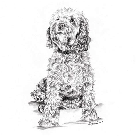 Sitting Cockapoo Sketch Money Box Kaye Cardell Oliver Portrait Artist
