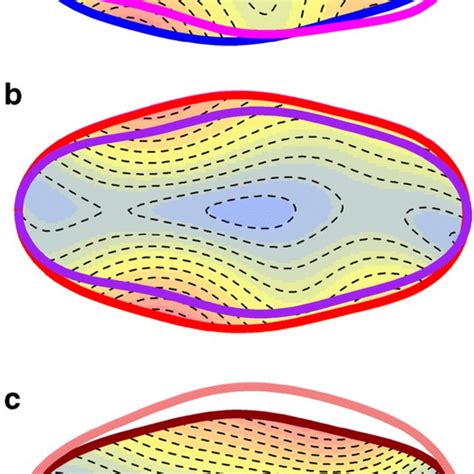 Amplified × 2 Isometric Thin Plate Splines Comparing Mean Grain Shape
