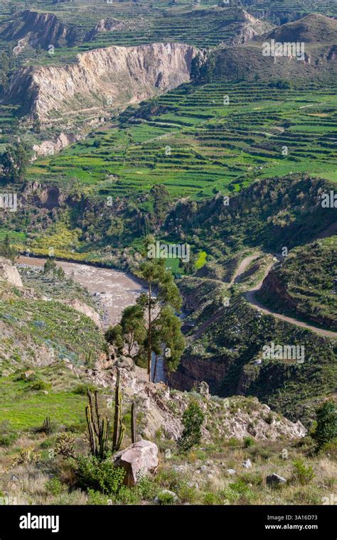 Peru Andes Cordillera Colca Valley Tarapoto The Colca River Flowing Through A Lush Green