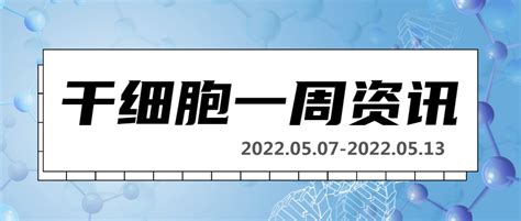 干细胞一周资讯（507 513） 哔哩哔哩