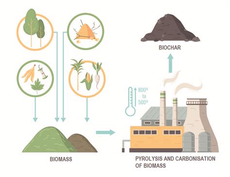 What Is Biochar Ecotech Projects