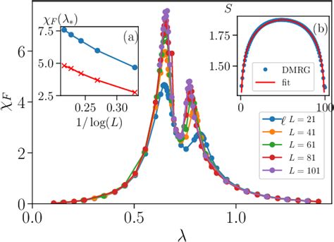 Figure 1 From Zn Lattice Gauge Theory In A Ladder Geometry Semantic