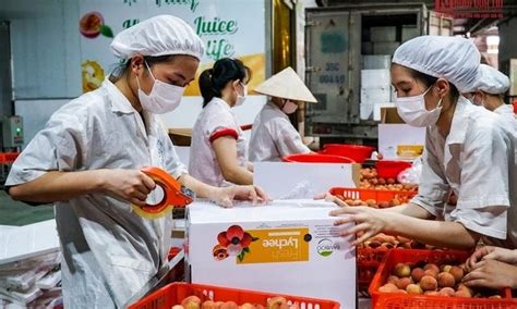 sản phẩm nông lâm thủy sản xuất khẩu tỷ USD