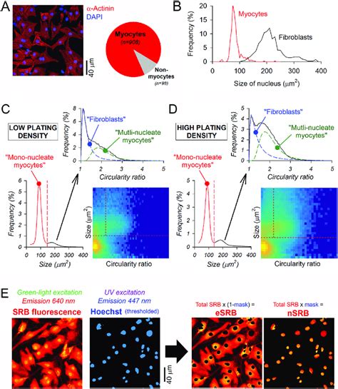 Workflow For Determining Counts Of Cells By Sub Type And The