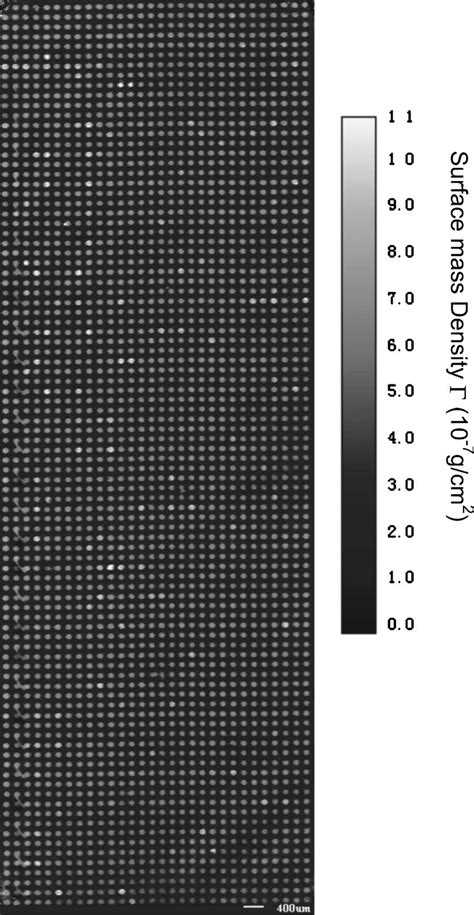 Image Of A 2760 Spot Bsa Microarray Acquired With The Hybrid Scanning Download Scientific