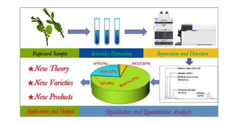 Precise Determination Of Selenium Forms And Contents In Selenium