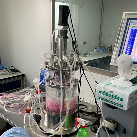 Bacteria Bioreactor Mycelium Bioreactor Fungal Bioreactor Ritai